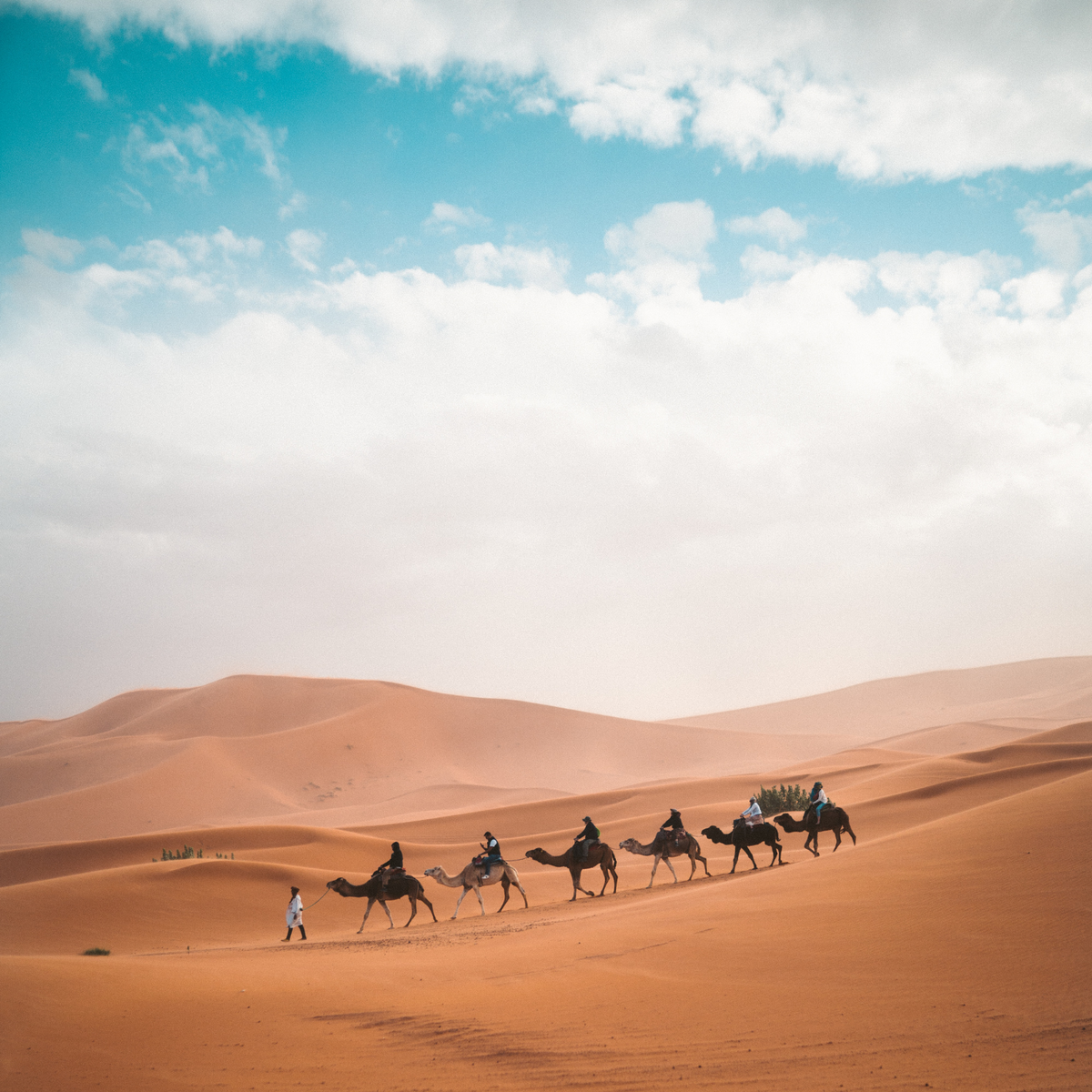 3-Day Morocco Sahara Desert Tour from Marrakech – Tailored Luxury Tours ...
