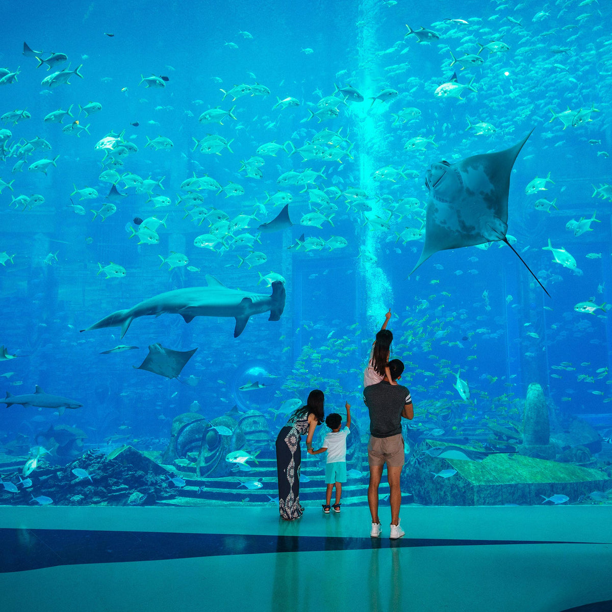 Sanya Monkey Island Park + Atlantis Aquarium Day Tour – Tailored Luxury ...